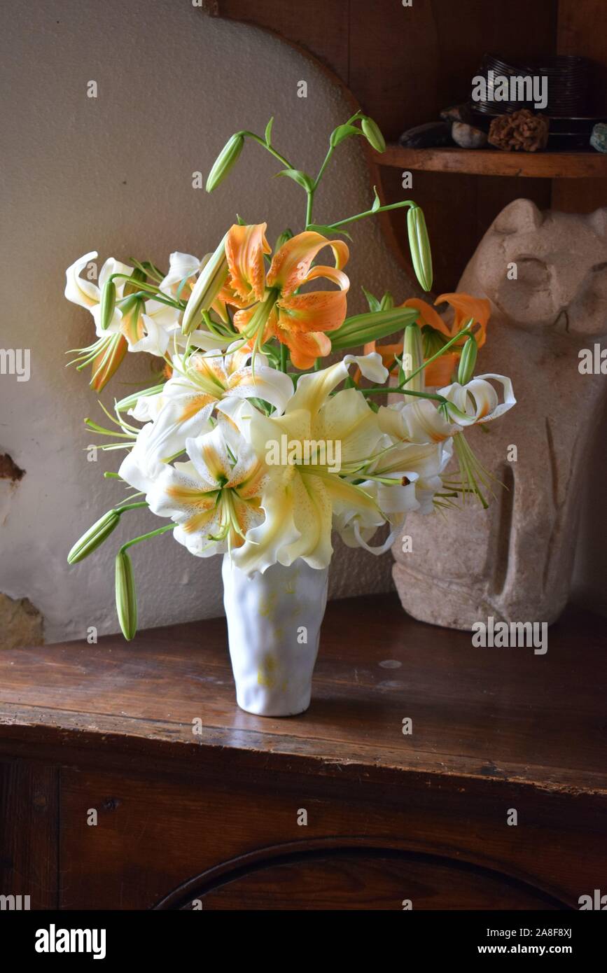 Lady alice lily hi-res stock photography and images - Alamy