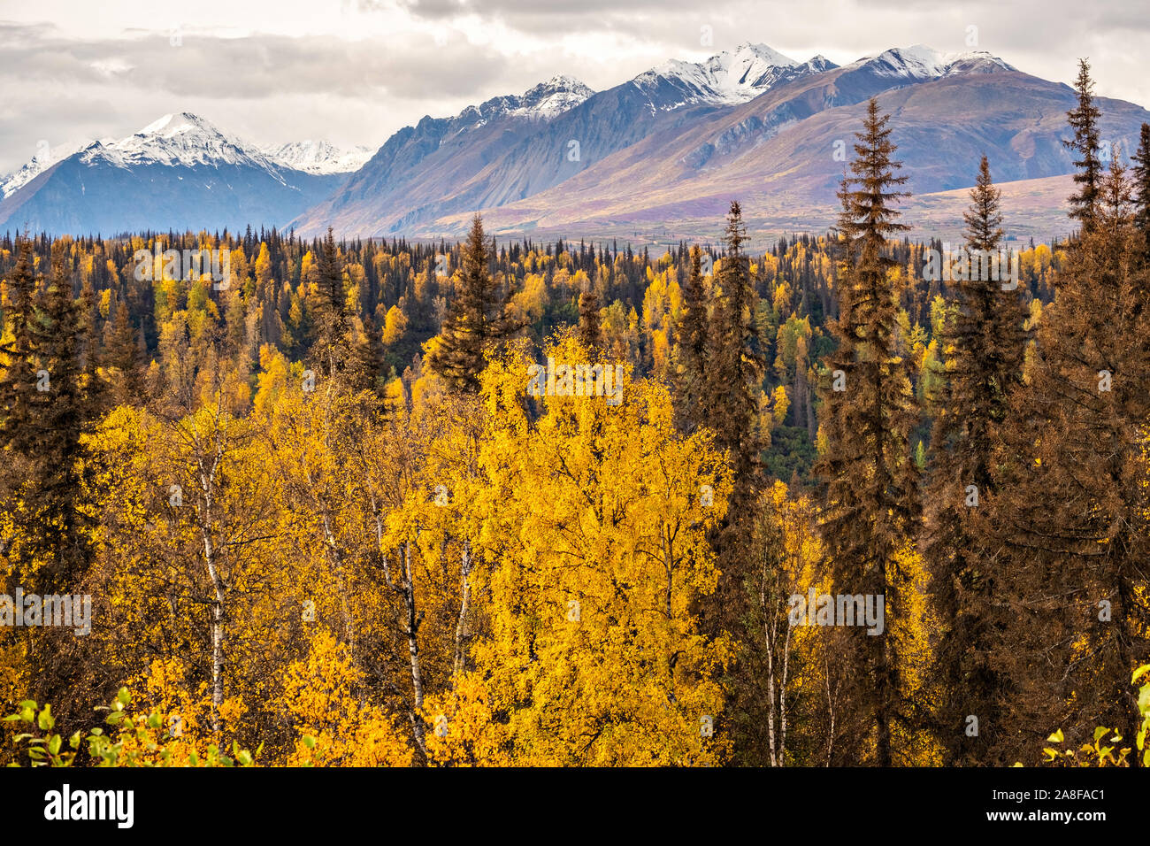 Termination dust, early snow, falls over the Alaska Range of mountains ...