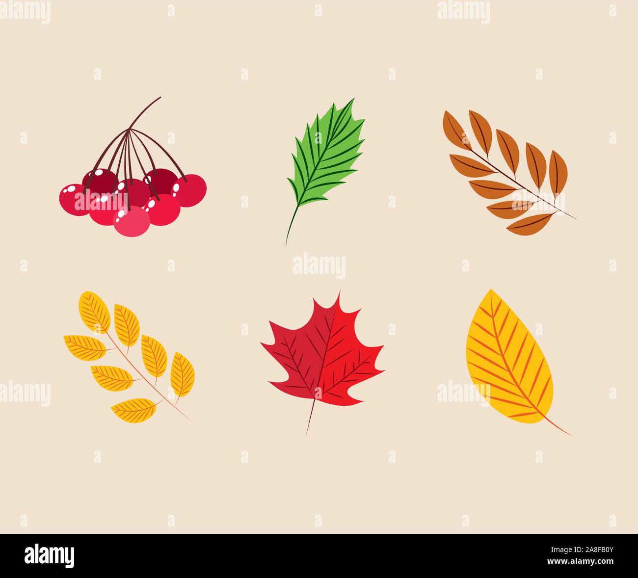 Autumn leaves icon set vector design Stock Vector Image & Art - Alamy