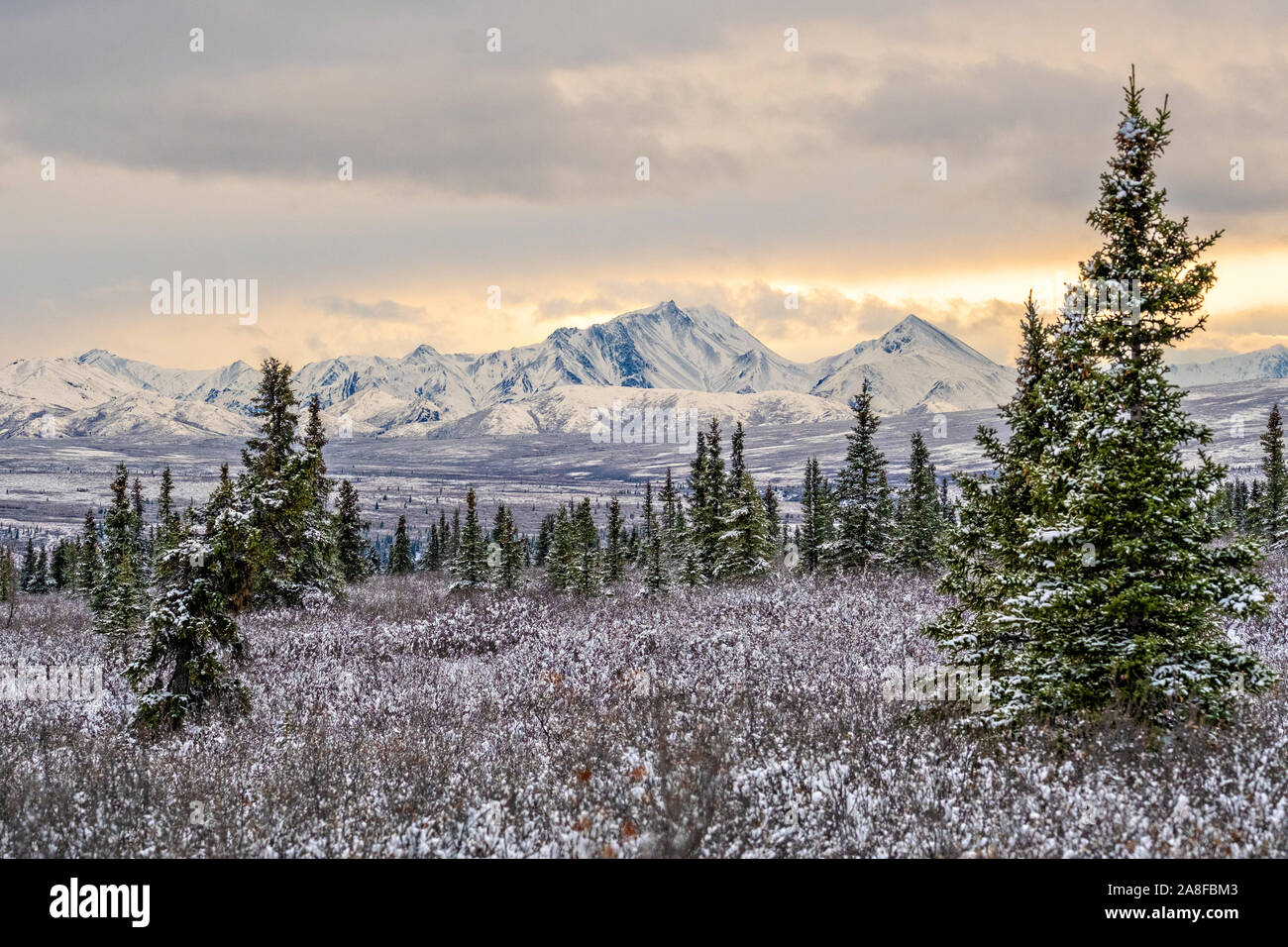 An early season snow across the boreal forests and Alaskan Range of ...