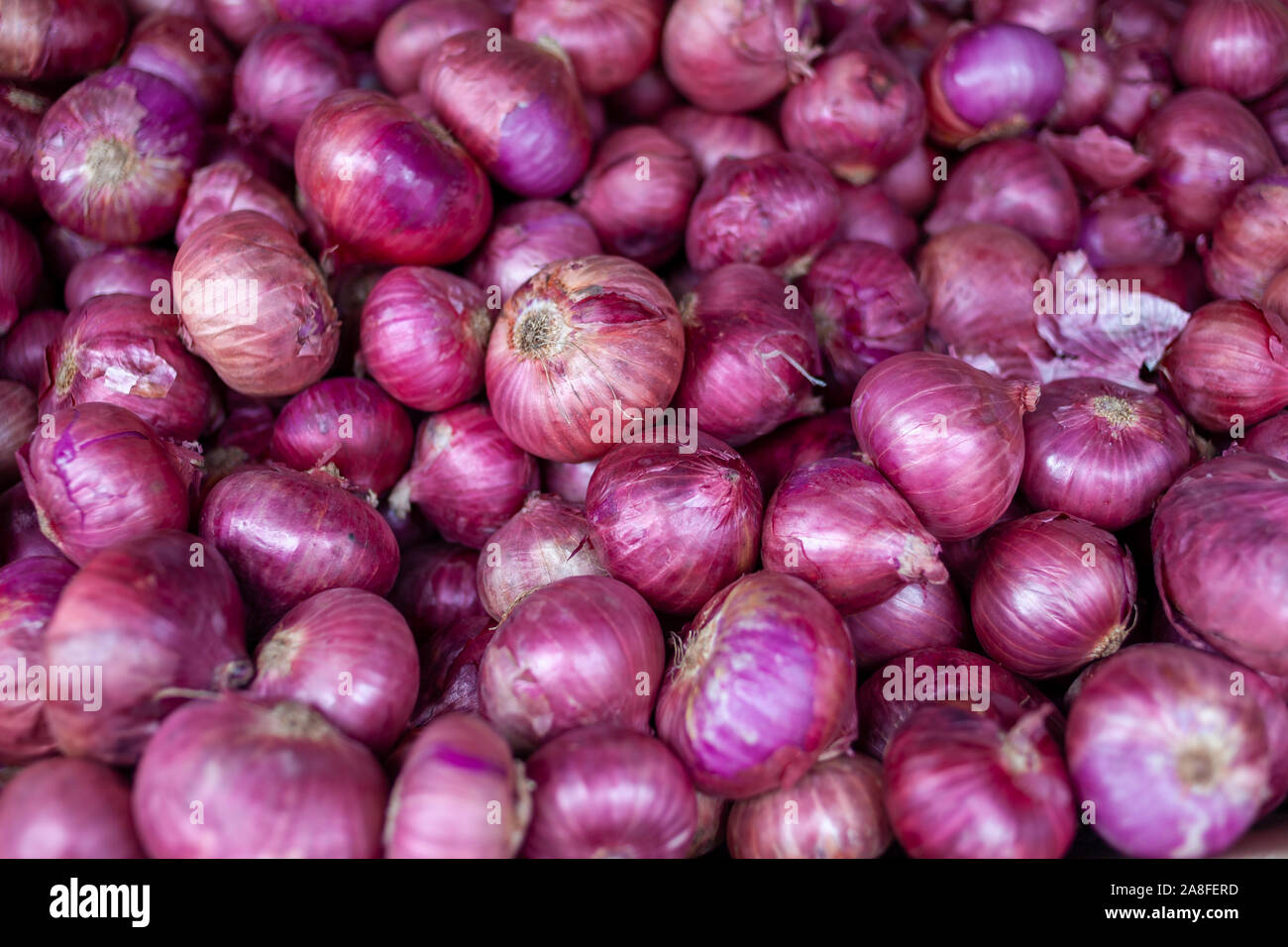 Red Onions are nicely stacked and piled up on this little market stand ...