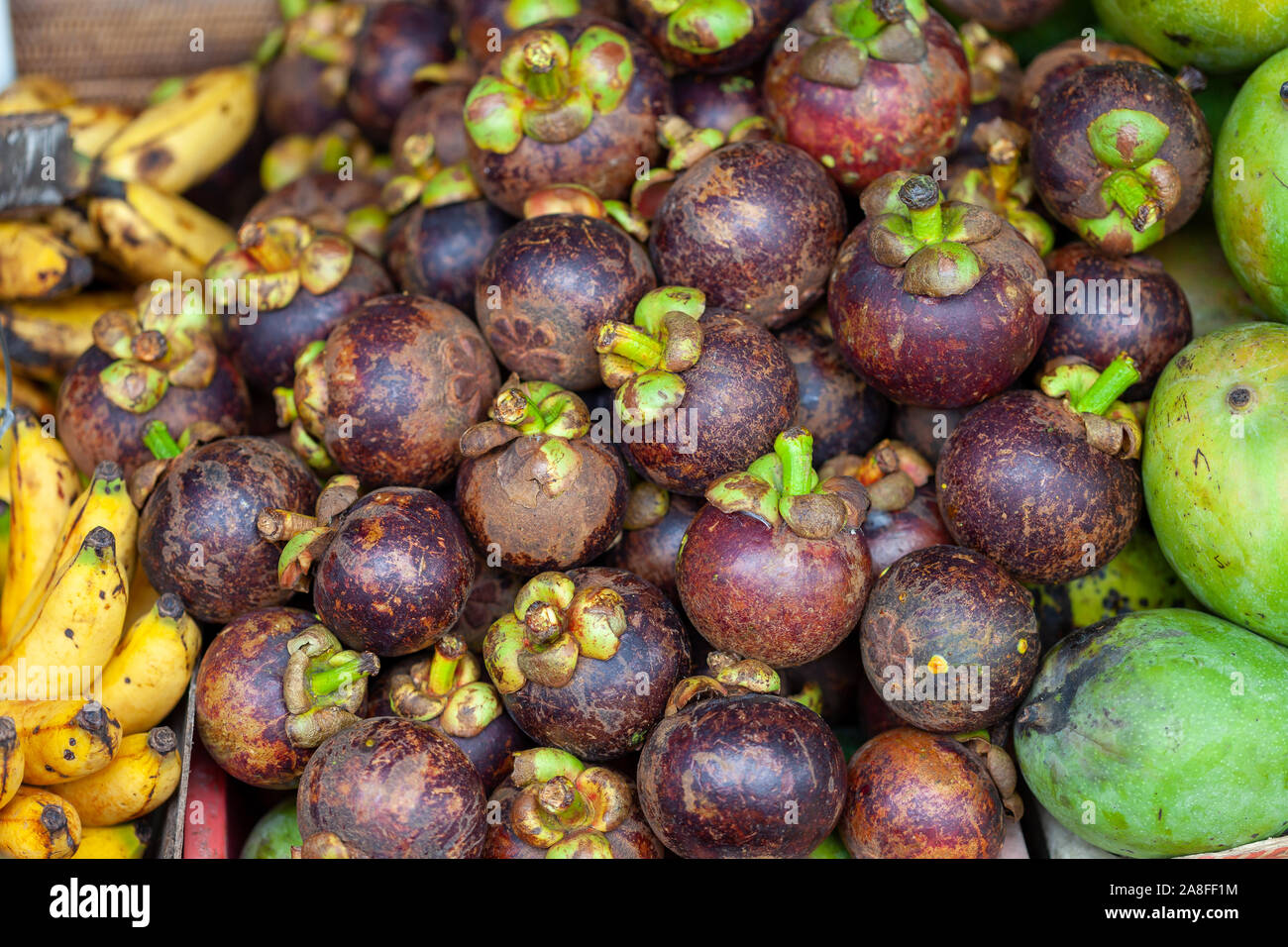 Pile of mangosteen, the queen of fruits. Those fruits are found all ...