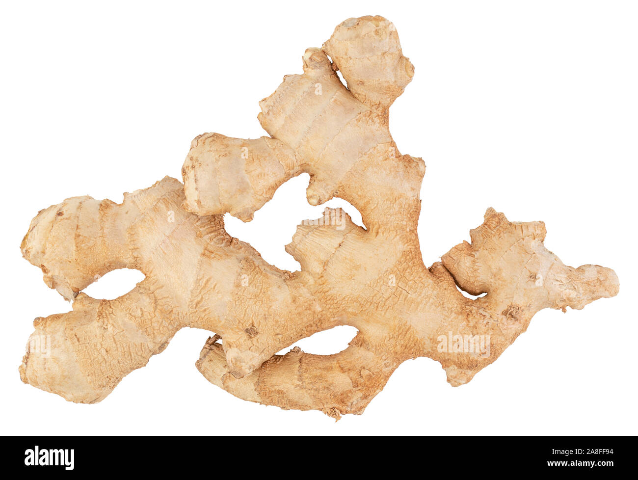 Ginger Isolated on white background Clipping Path Stock Photo - Alamy