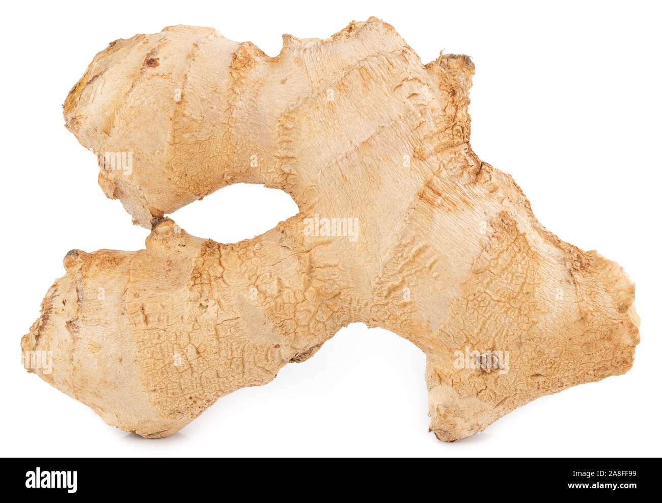 Ginger Isolated on white background Clipping Path Stock Photo - Alamy