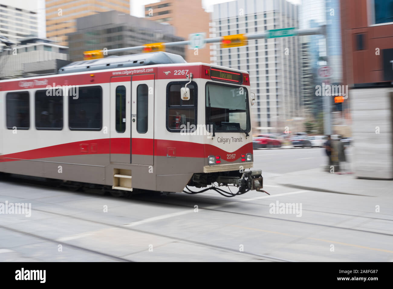 Calgary Transit trams, Calgary, Canada Stock Photo - Alamy