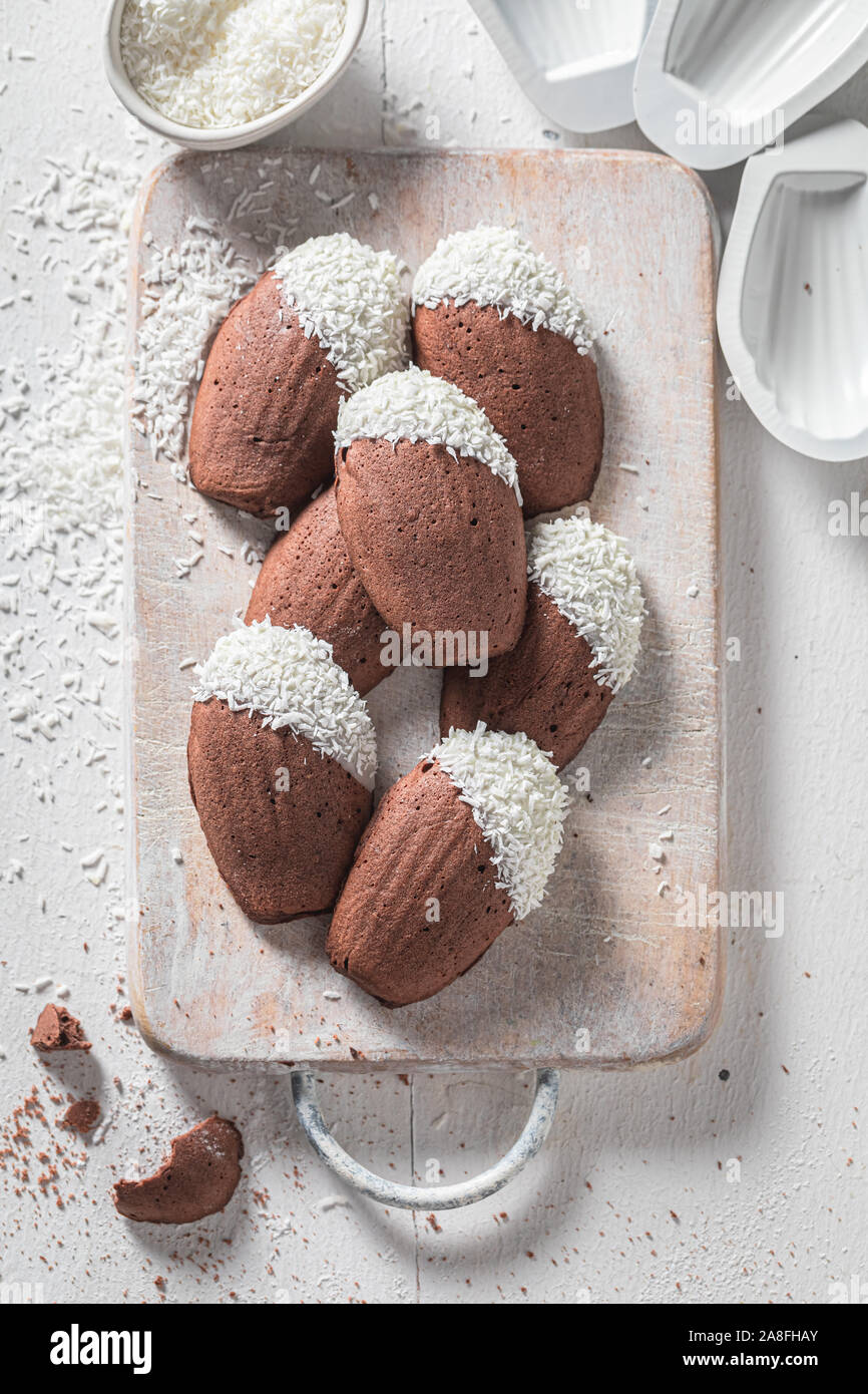 Homemade Madeleine chocolate cookies baked in shell shaped mold Stock ...