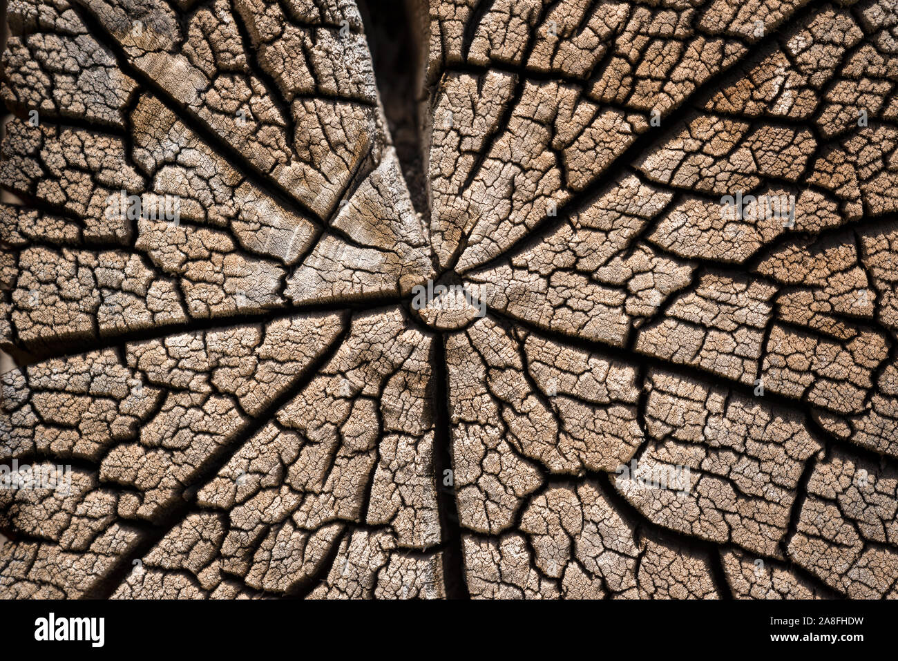 Fred riddle hi-res stock photography and images - Alamy