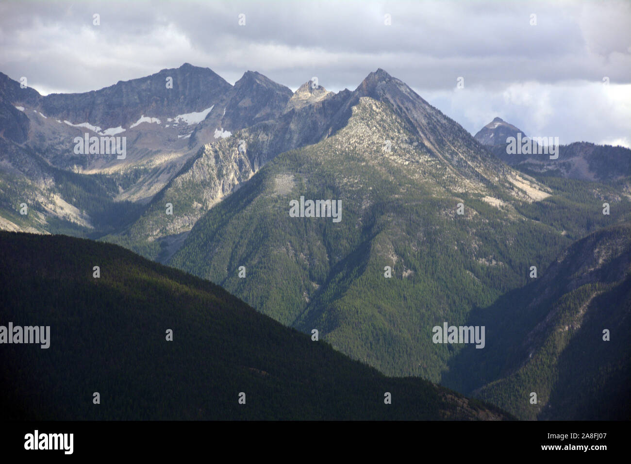 Forested mountains in the Purcell Wilderness Conservancy Provincial ...