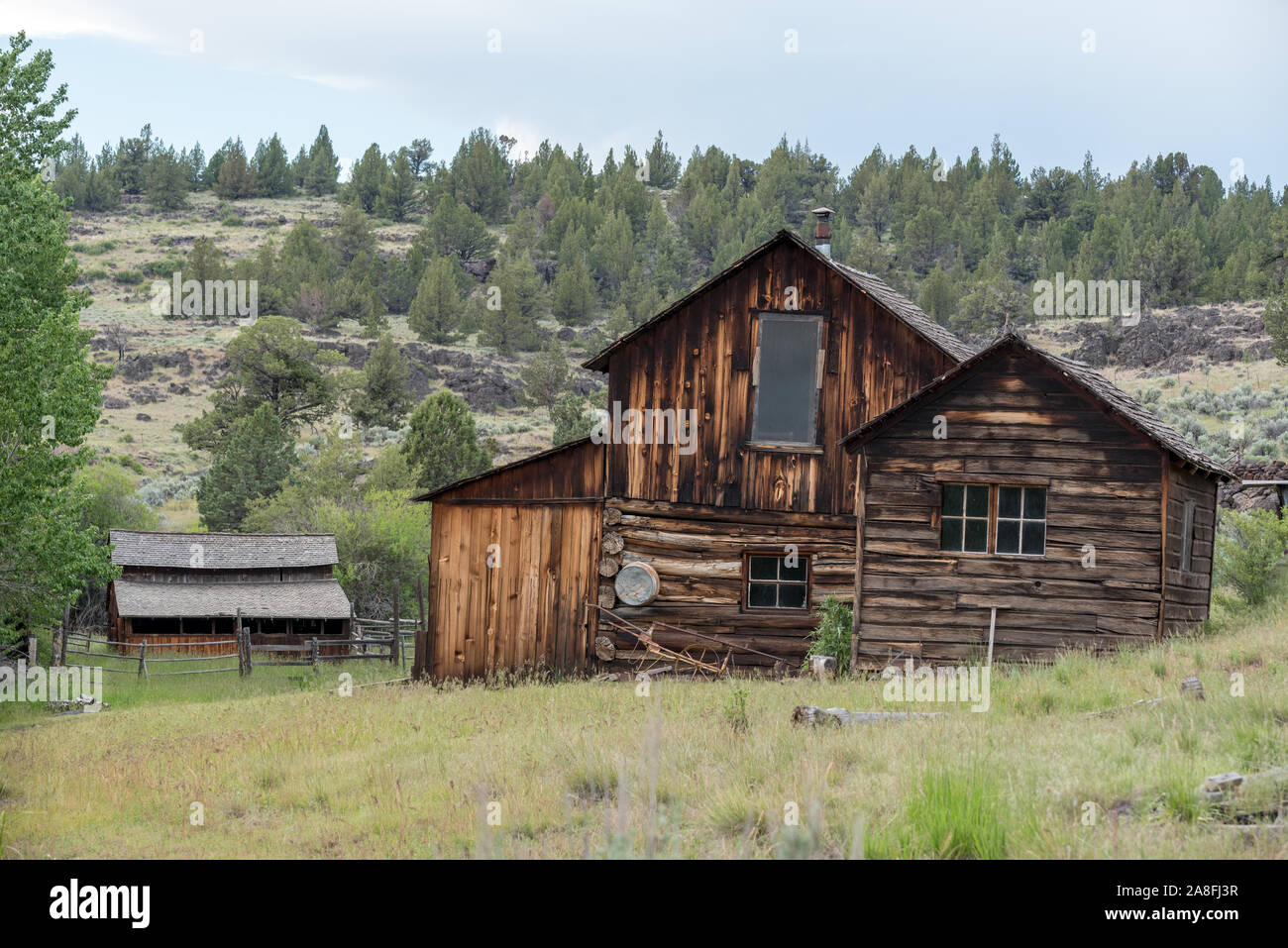 The historic Fred Riddle House and barn at the base of Steens Mountain ...