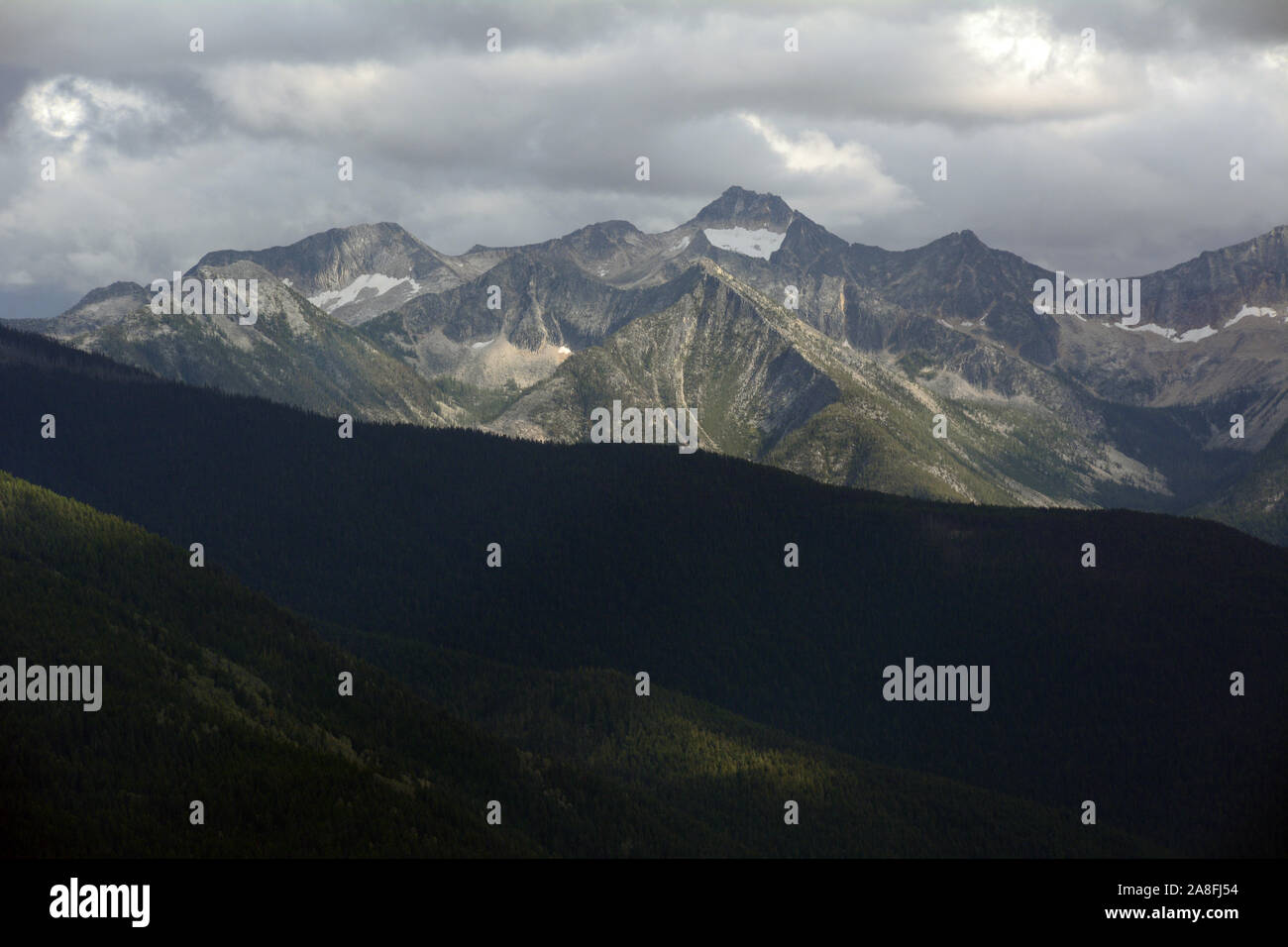 Forested mountains in the Purcell Wilderness Conservancy Provincial ...