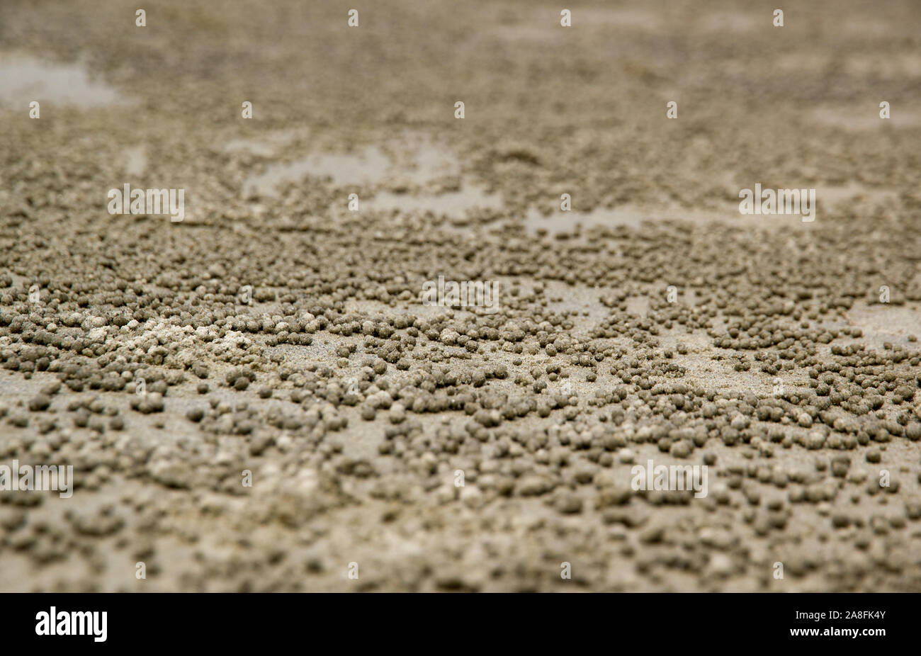 Balls of sand hi-res stock photography and images - Alamy