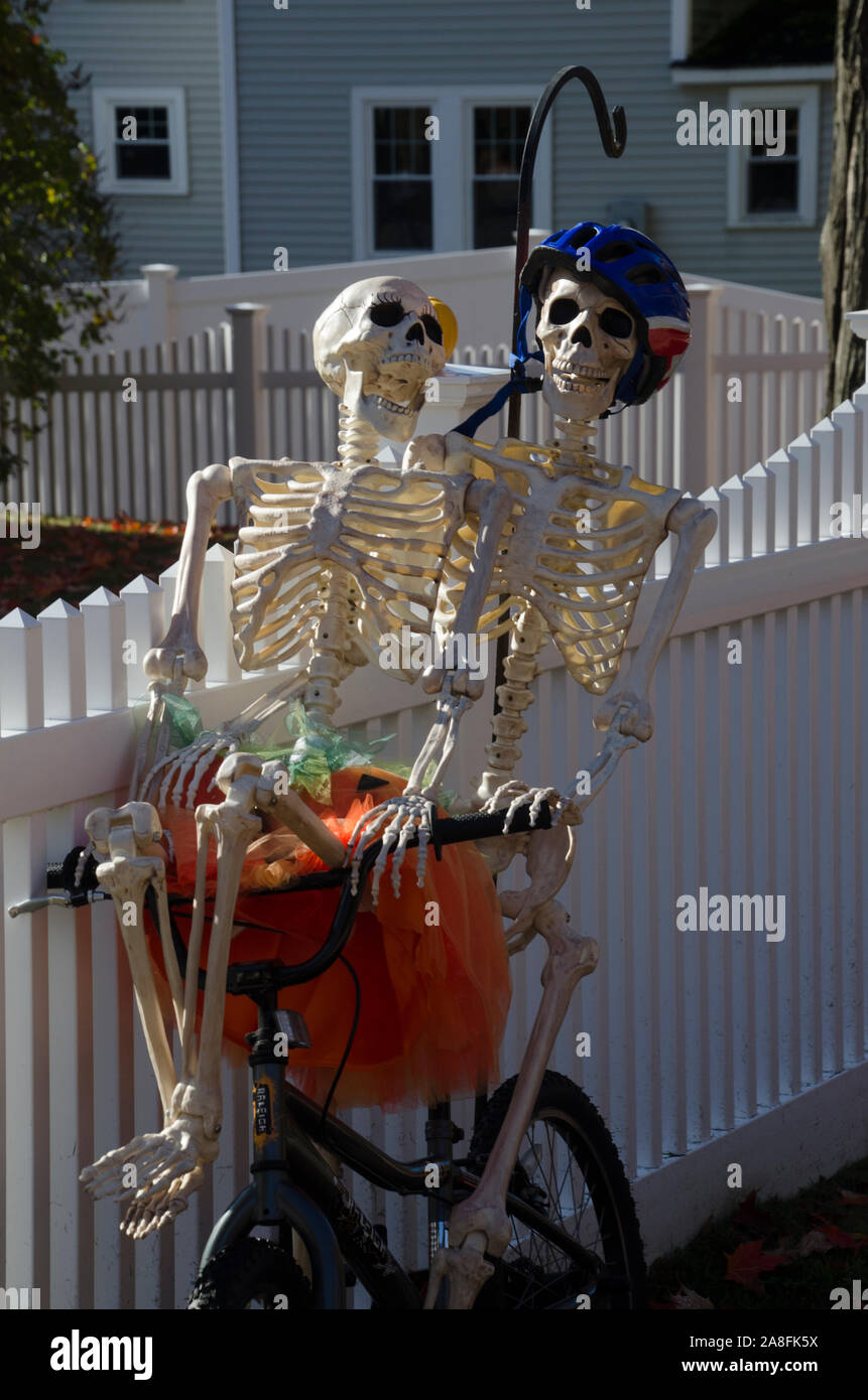 Dressed up skeletons hi-res stock photography and images - Alamy