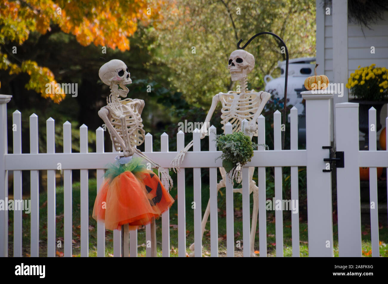 Skeleton fence hi-res stock photography and images - Alamy