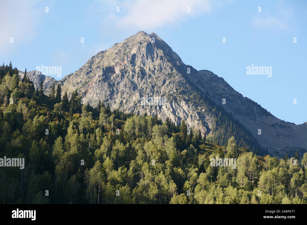 A rocky peak above a forest in the mountains of Goat Range Provincial ...