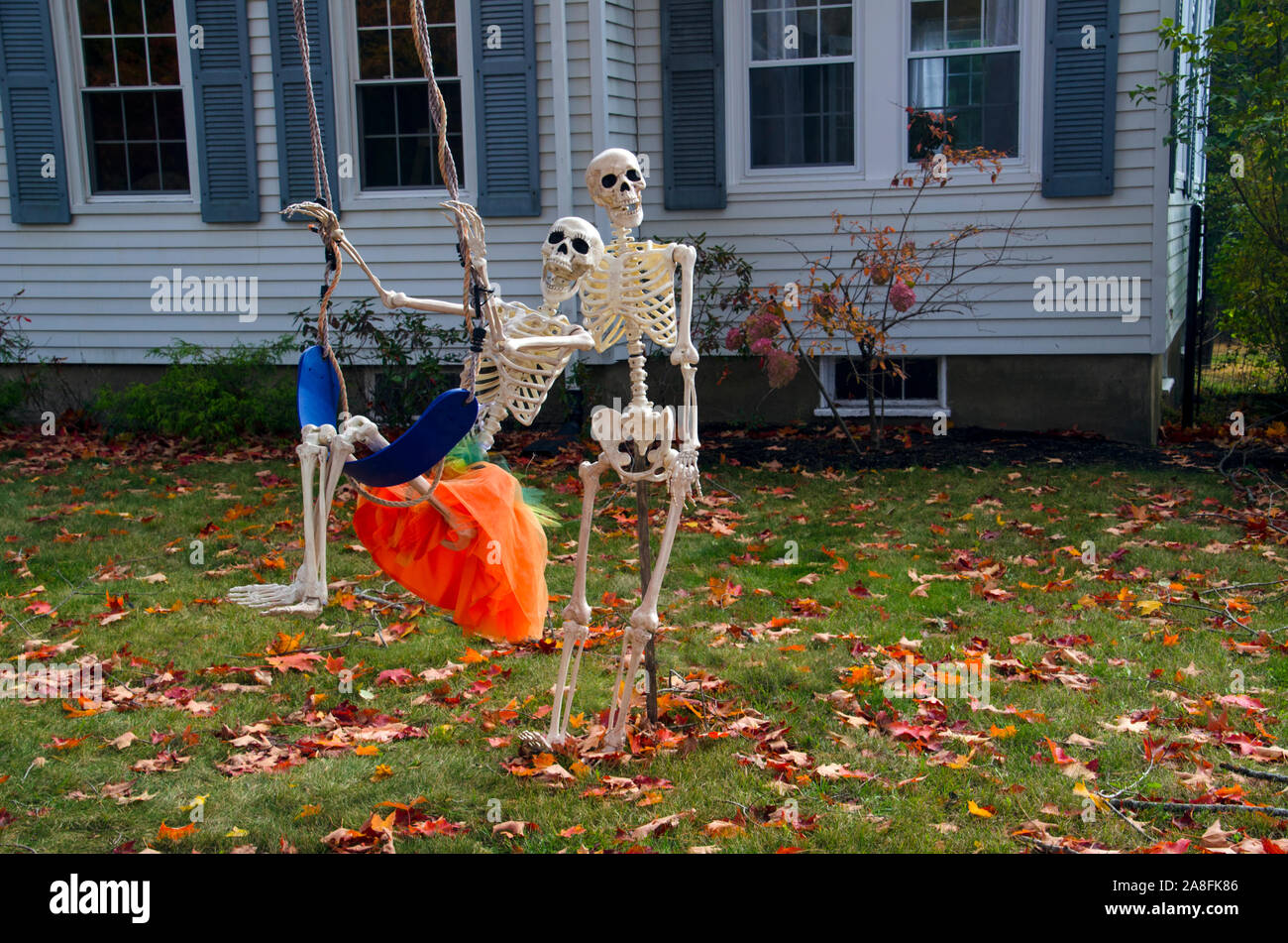 Dressed Up Skeletons High Resolution Stock Photography and Images - Alamy