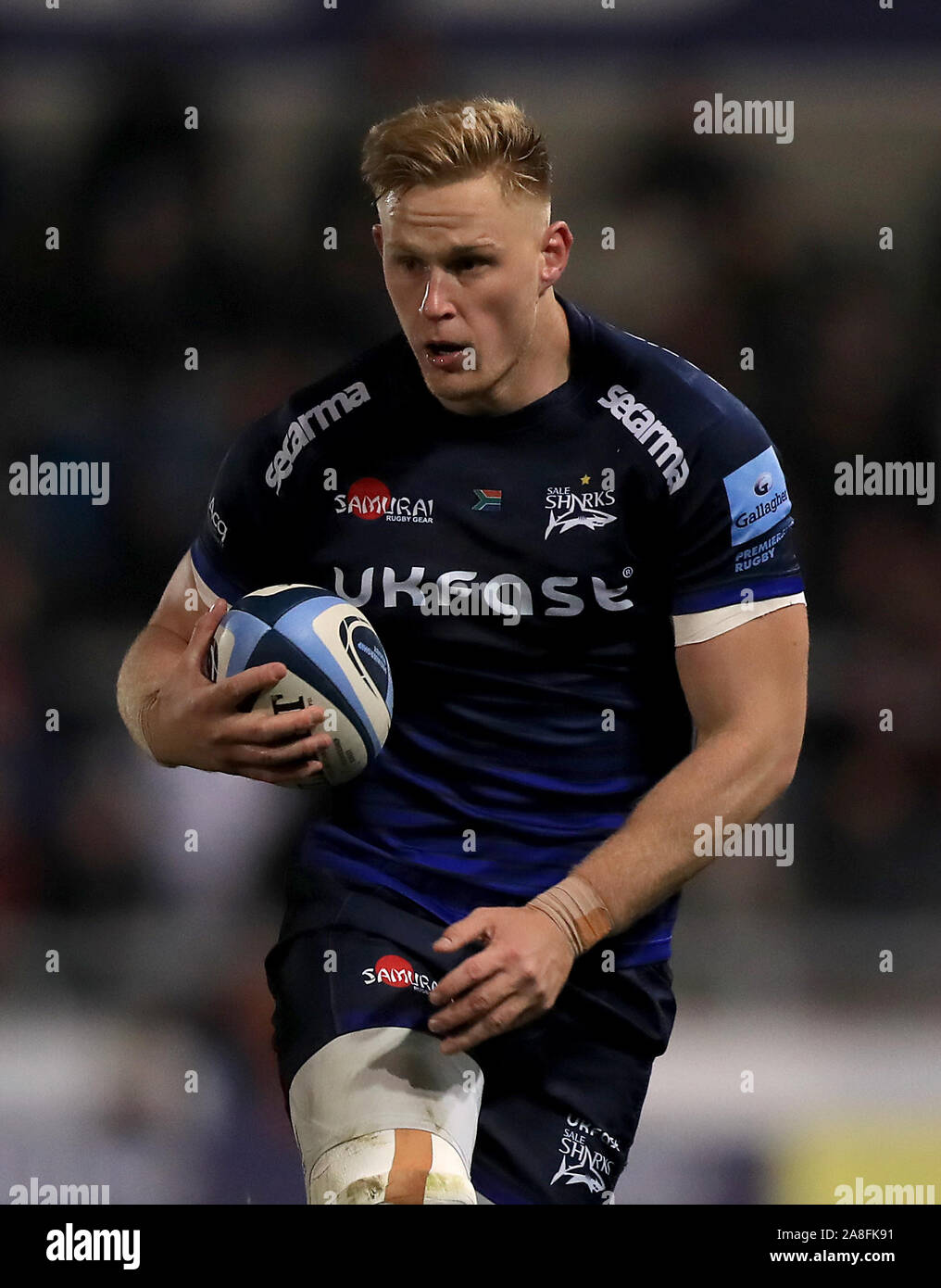 Daniel du preez hi-res stock photography and images - Alamy