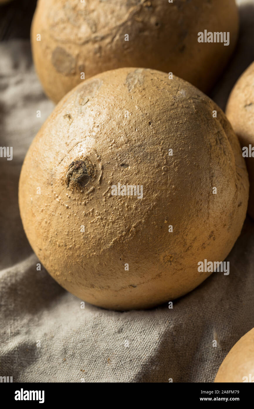 Raw White Organic Jicama Root Ready to Cook Stock Photo - Alamy