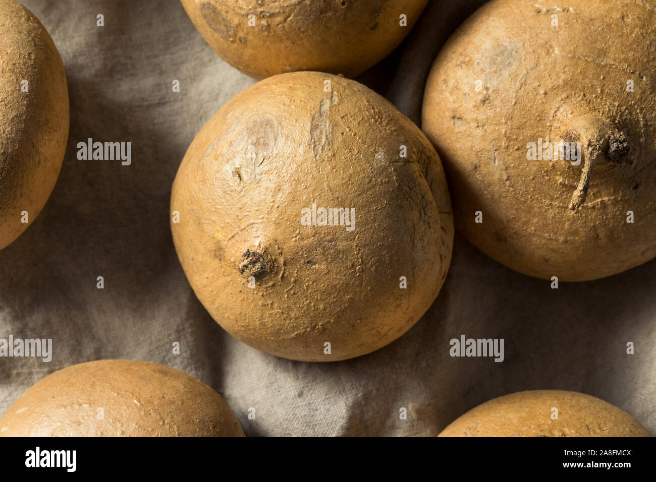 Raw White Organic Jicama Root Ready to Cook Stock Photo - Alamy