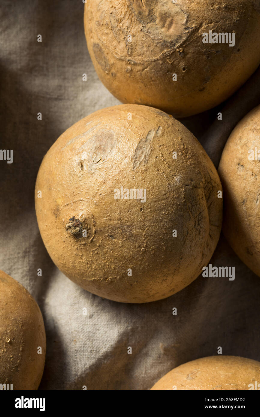 Raw White Organic Jicama Root Ready to Cook Stock Photo - Alamy