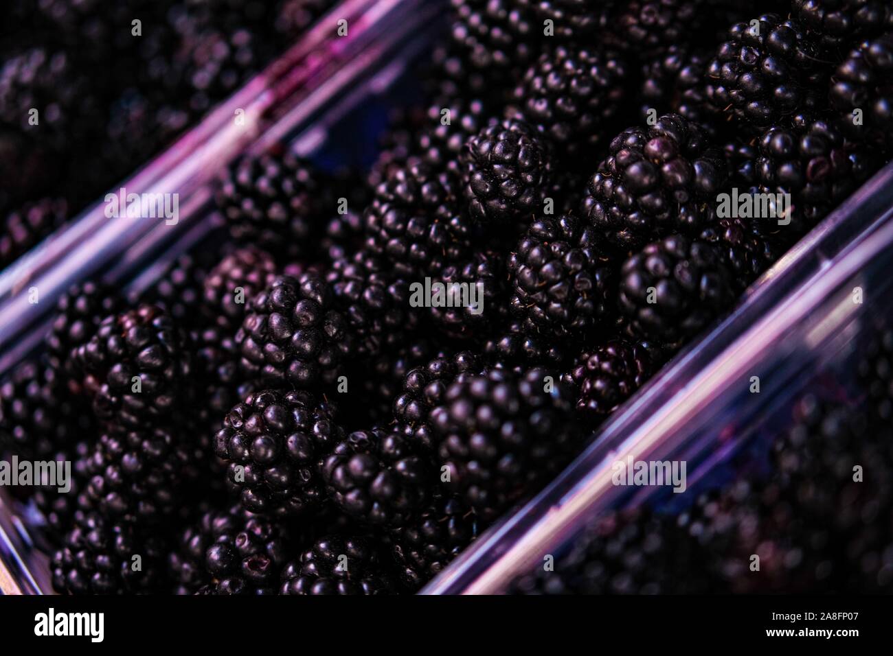 Blackberries in plastic container hi-res stock photography and images ...