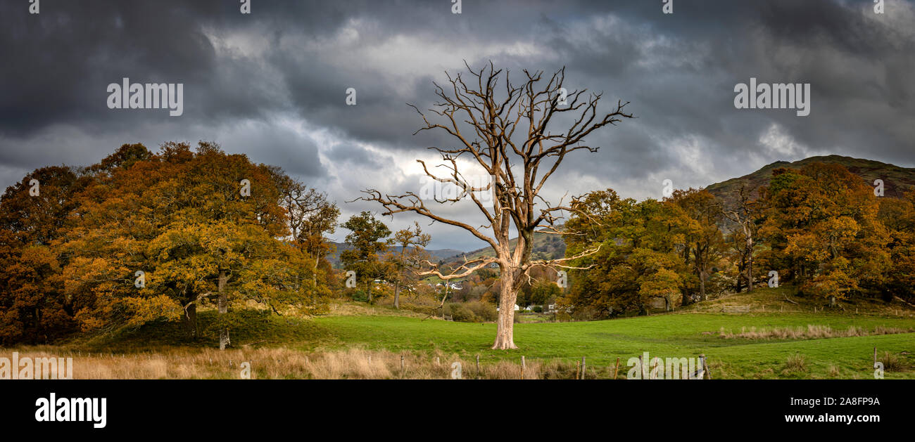 Valuable habitat uk hi-res stock photography and images - Alamy