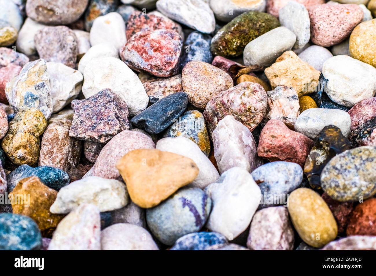 Landscape architecture, interior design and nature elements concept ...