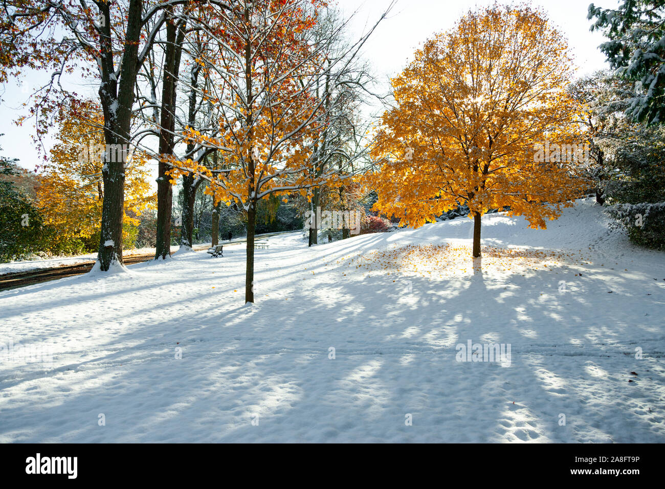 Colour landscape photos of Springbank Park in London, Ontario, Canada ...