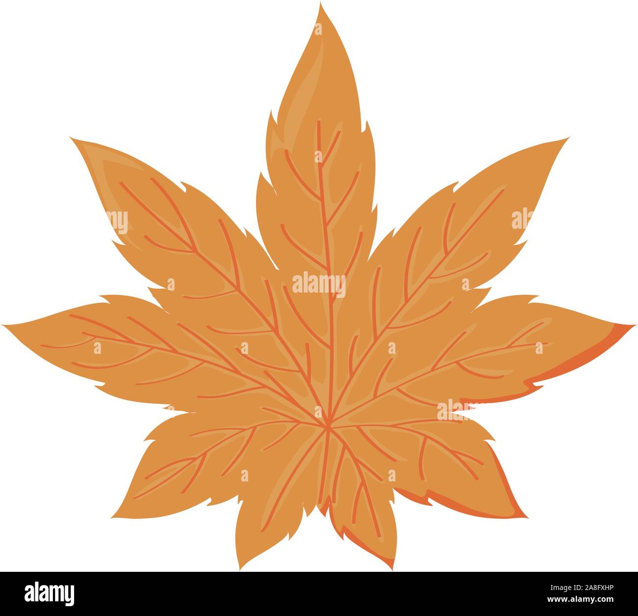 beautiful autumn leaf on white background vector illustration design ...