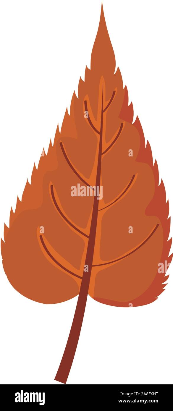 beautiful autumn leaf on white background vector illustration design ...