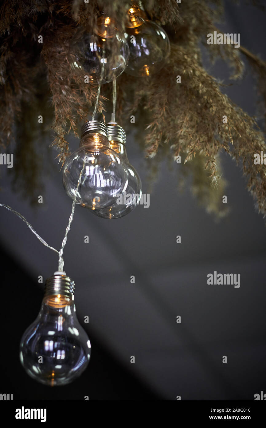 Bottom view composition of reeds and a garland of light bulbs ...