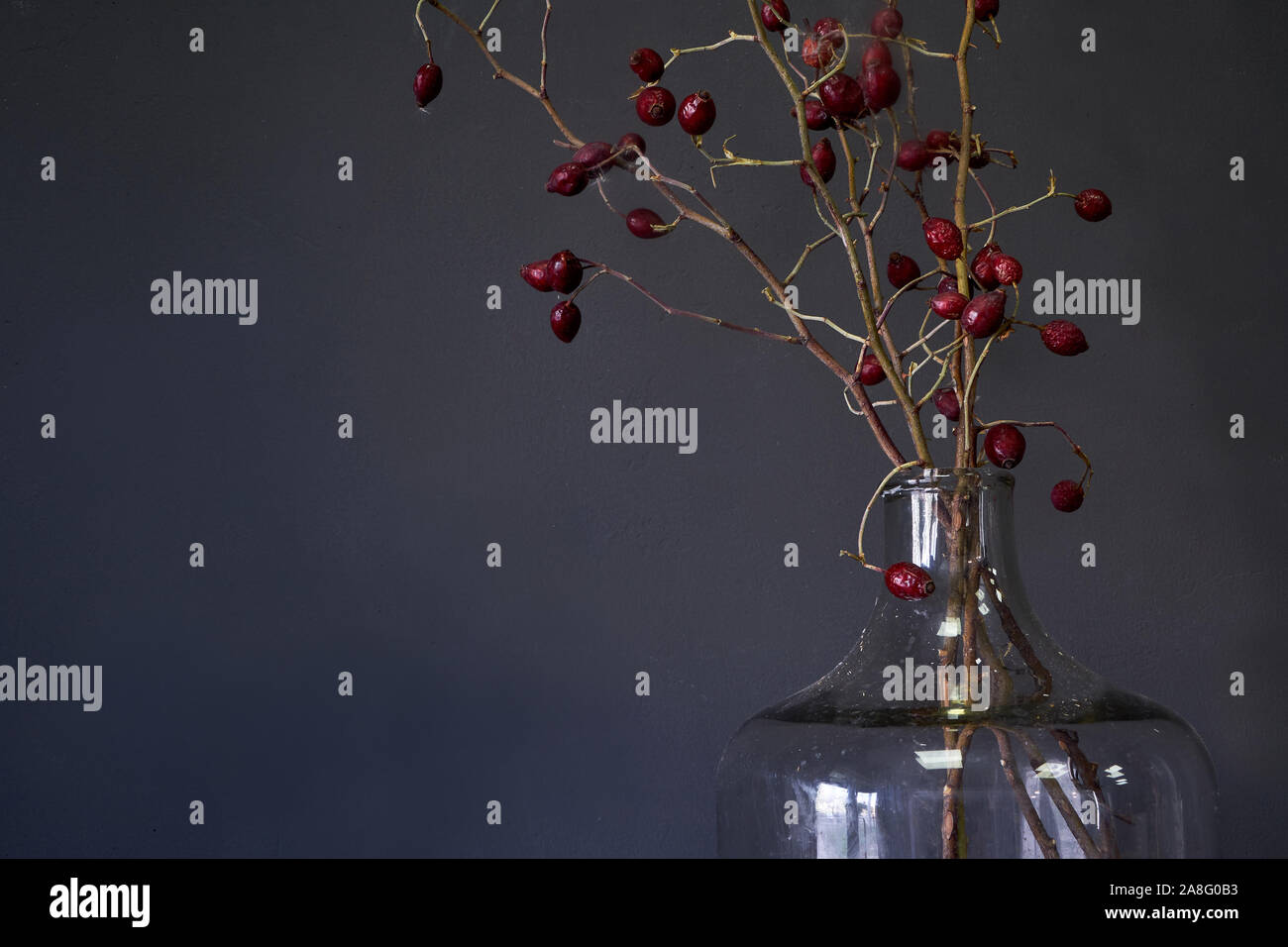 Large glass bottle with branches of dry red rosehip on wood table ...