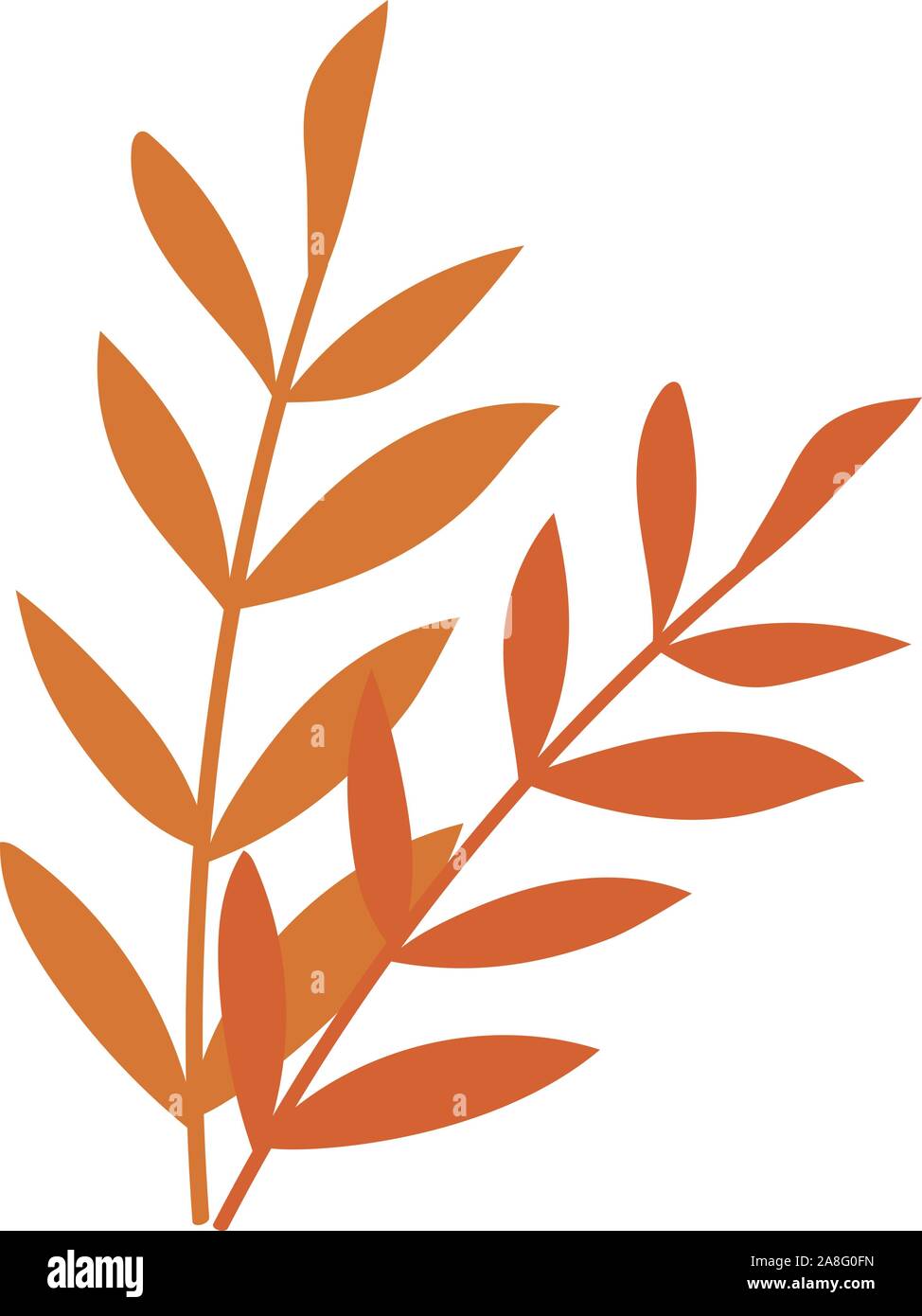 branch with leaf on white background vector illustration design Stock ...