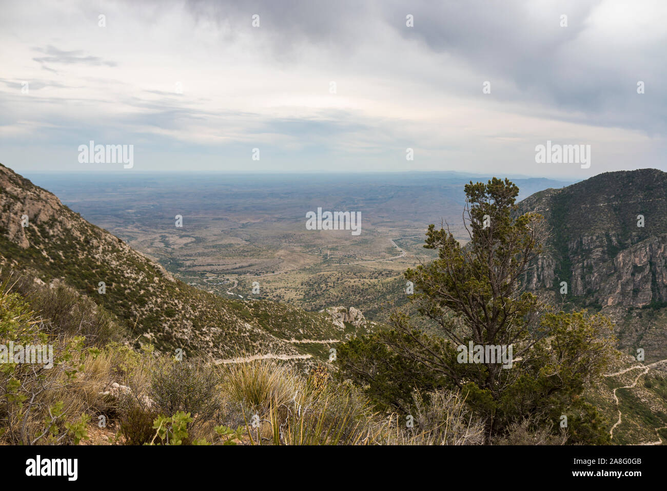 Landscape view of Guadalupe Mountains National Park during the day in ...