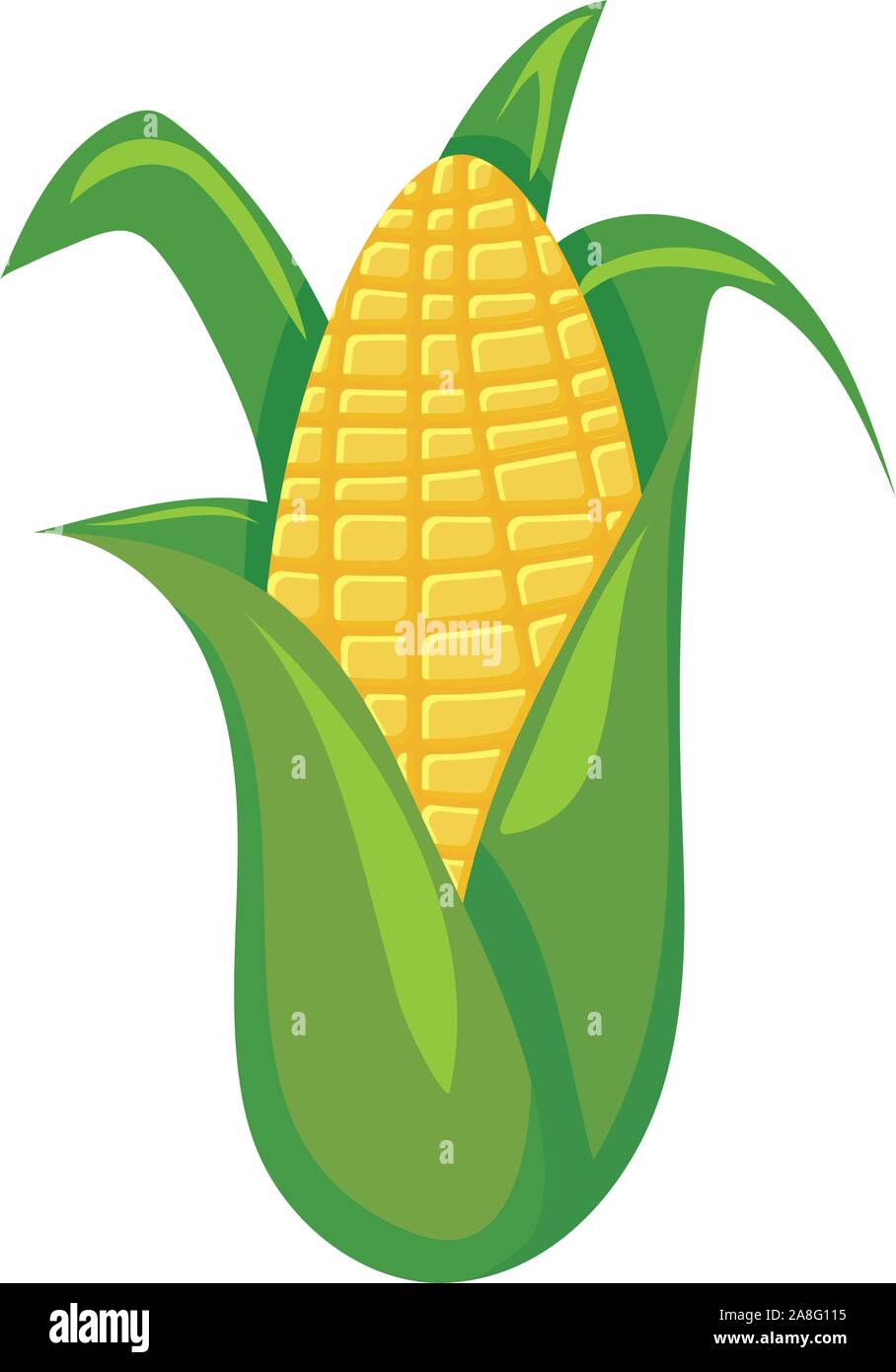 sweet corn on white background vector illustration design Stock Vector ...