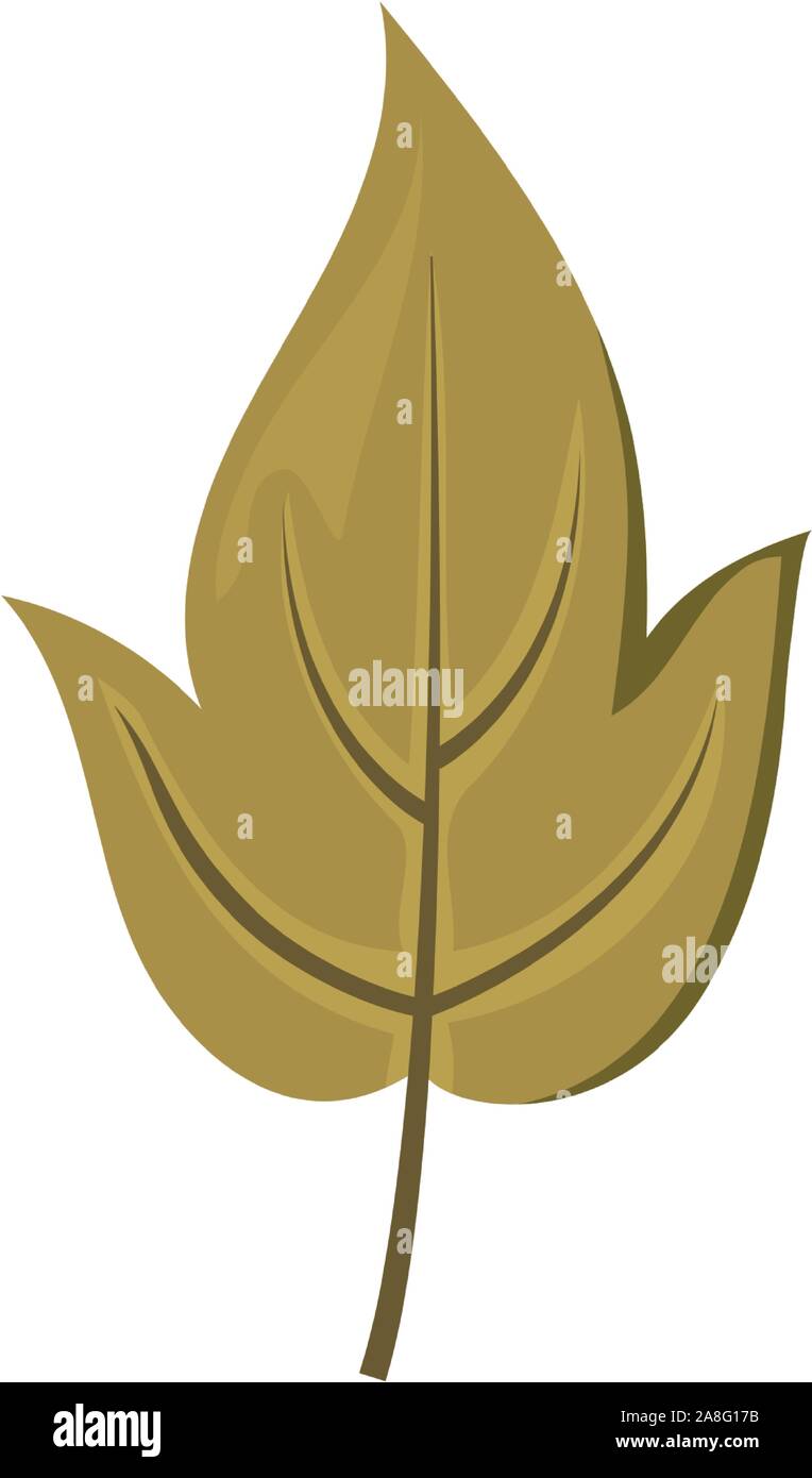 beautiful autumn leaf on white background vector illustration design ...