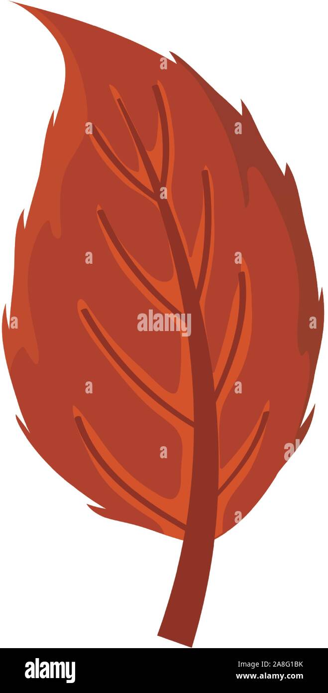 beautiful autumn leaf on white background vector illustration design ...