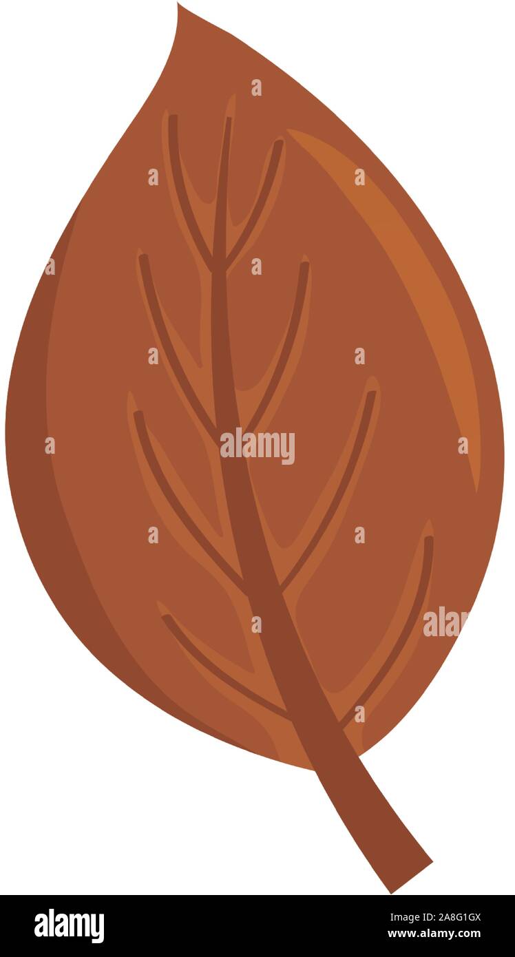 beautiful autumn leaf on white background vector illustration design ...