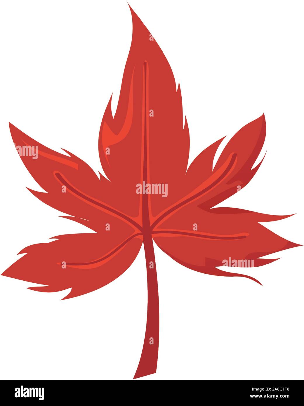 beautiful autumn leaf on white background vector illustration design ...