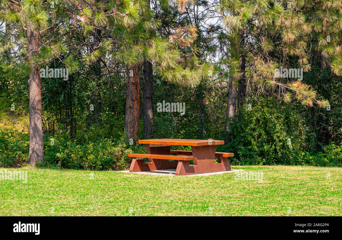Rest area with wooden table on hike route in shadow of the trees Stock ...