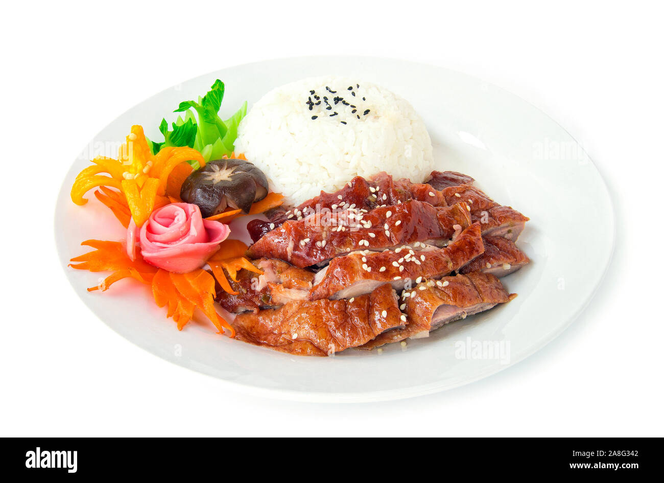 Roasted duck on rice with sweet sauce fusion food Chinese style ...