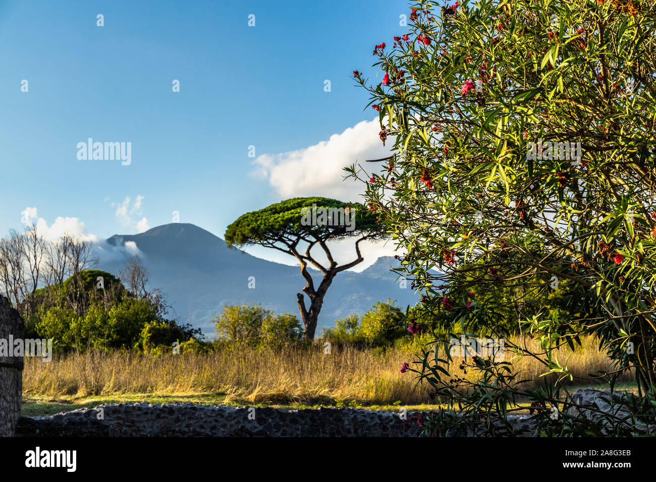The Mount Vesuvius seen from Pompeii ancient city, which was destroyed ...