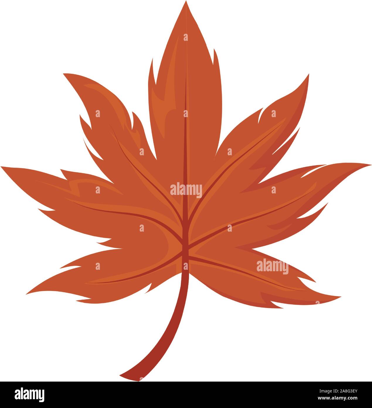 beautiful autumn leaf on white background vector illustration design ...