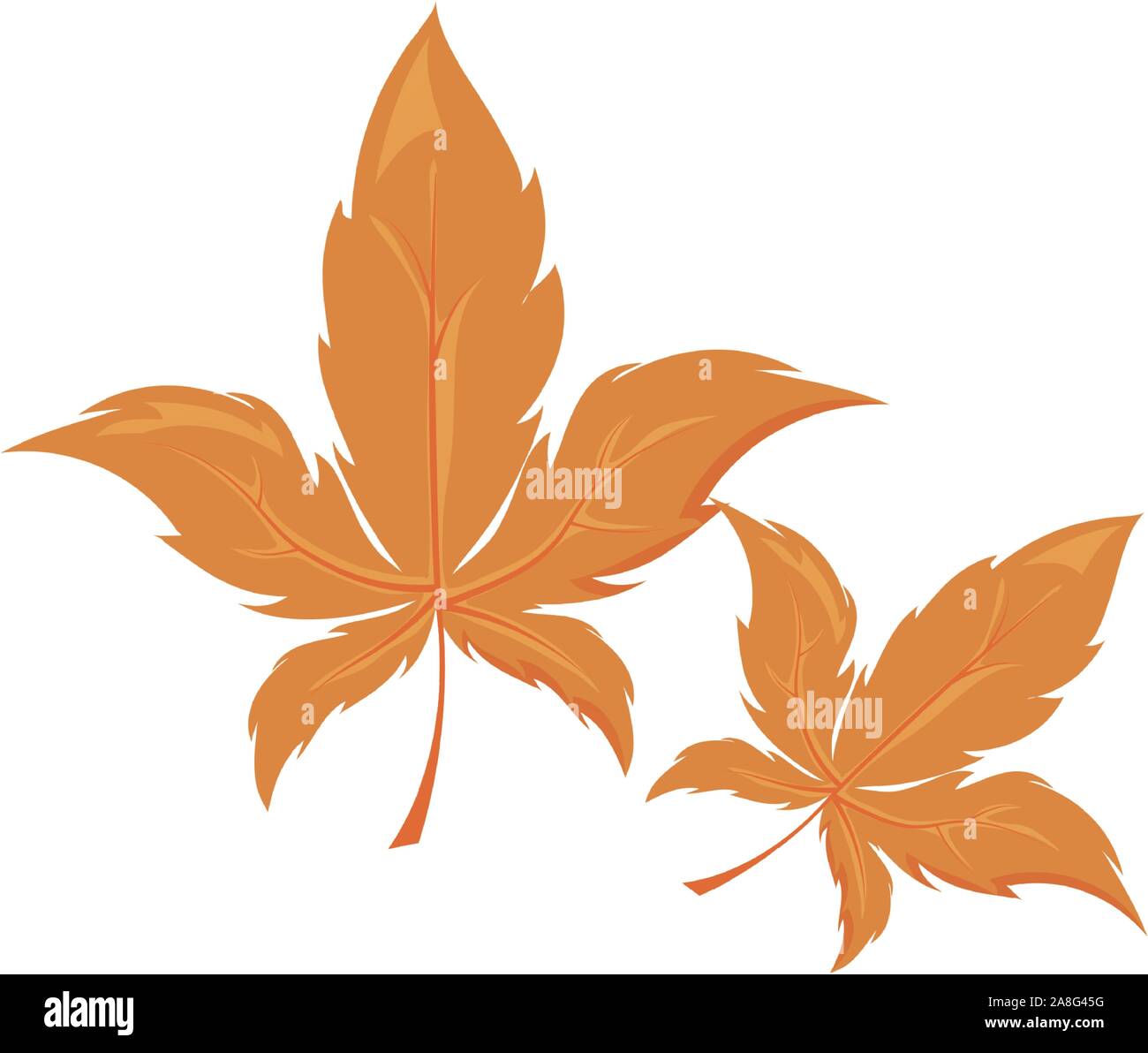 beautiful autumn leaves on white background vector illustration design ...