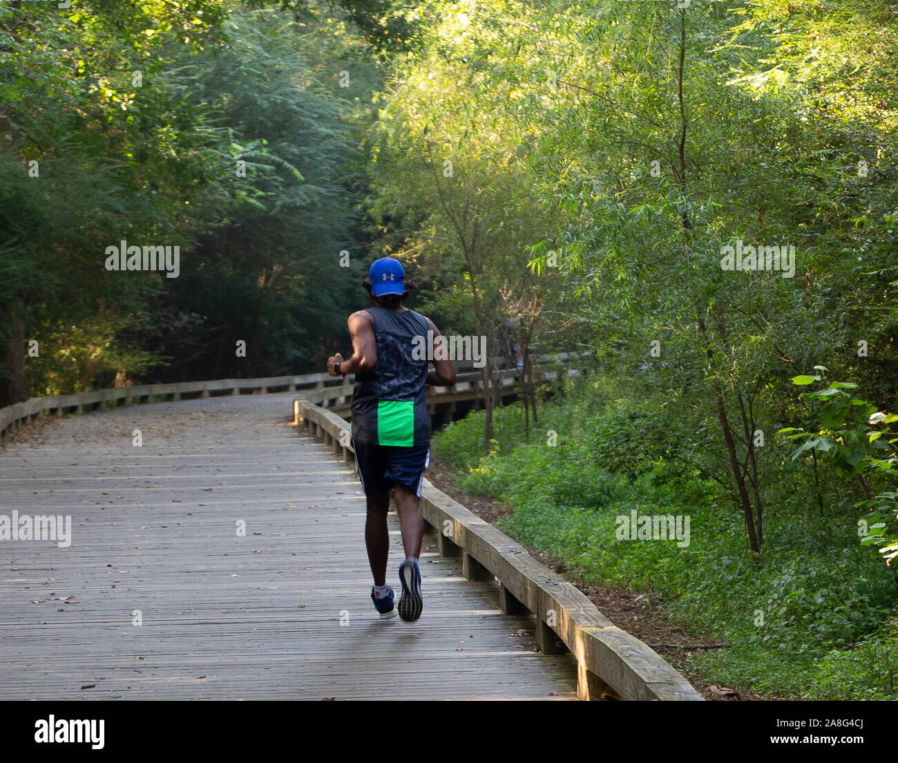 Atlanta hiking trails hi-res stock photography and images - Alamy