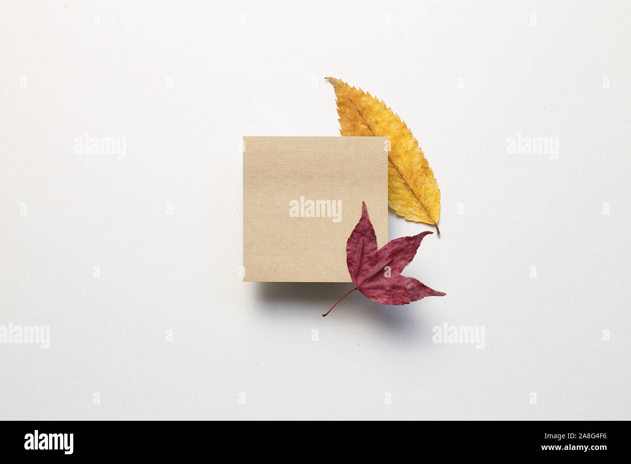Brown memo paper with autumn leaves on white background Stock Photo - Alamy