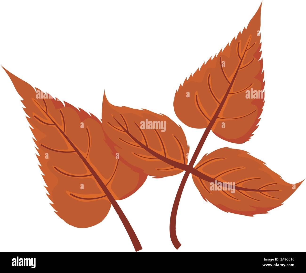 beautiful autumn leaves on white background vector illustration design ...