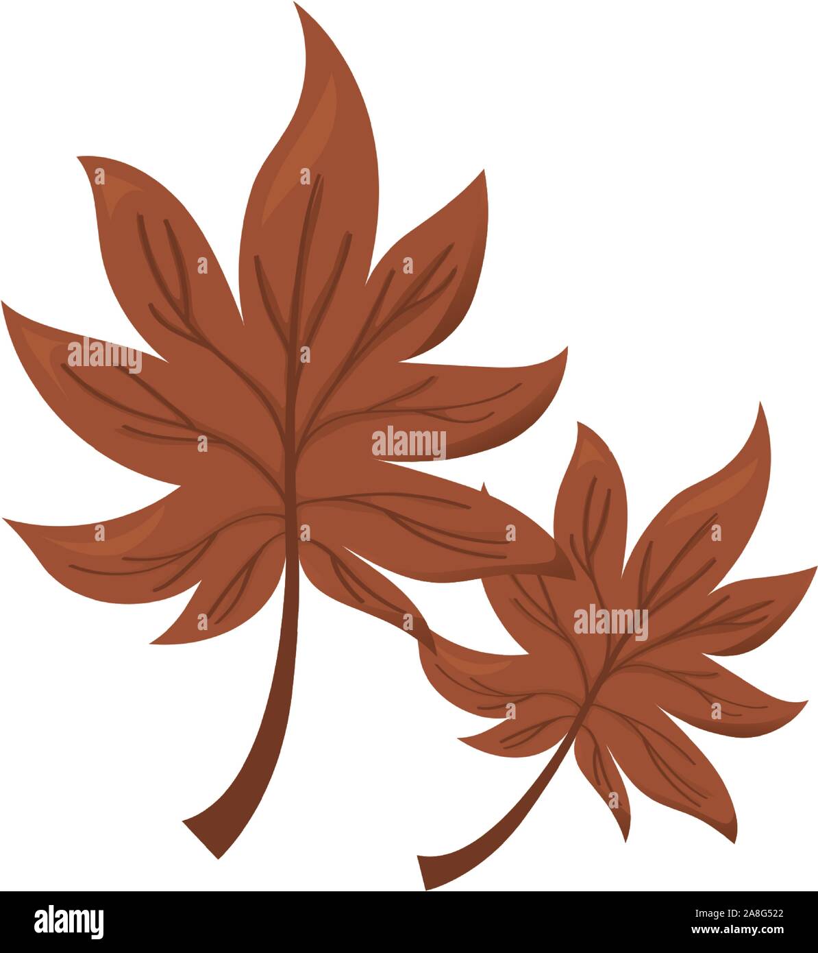 beautiful autumn leaves on white background vector illustration design ...