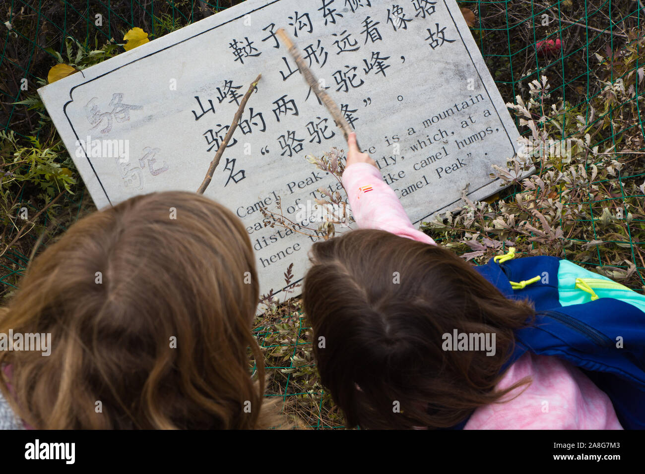 Children reading Chinese Stock Photo - Alamy