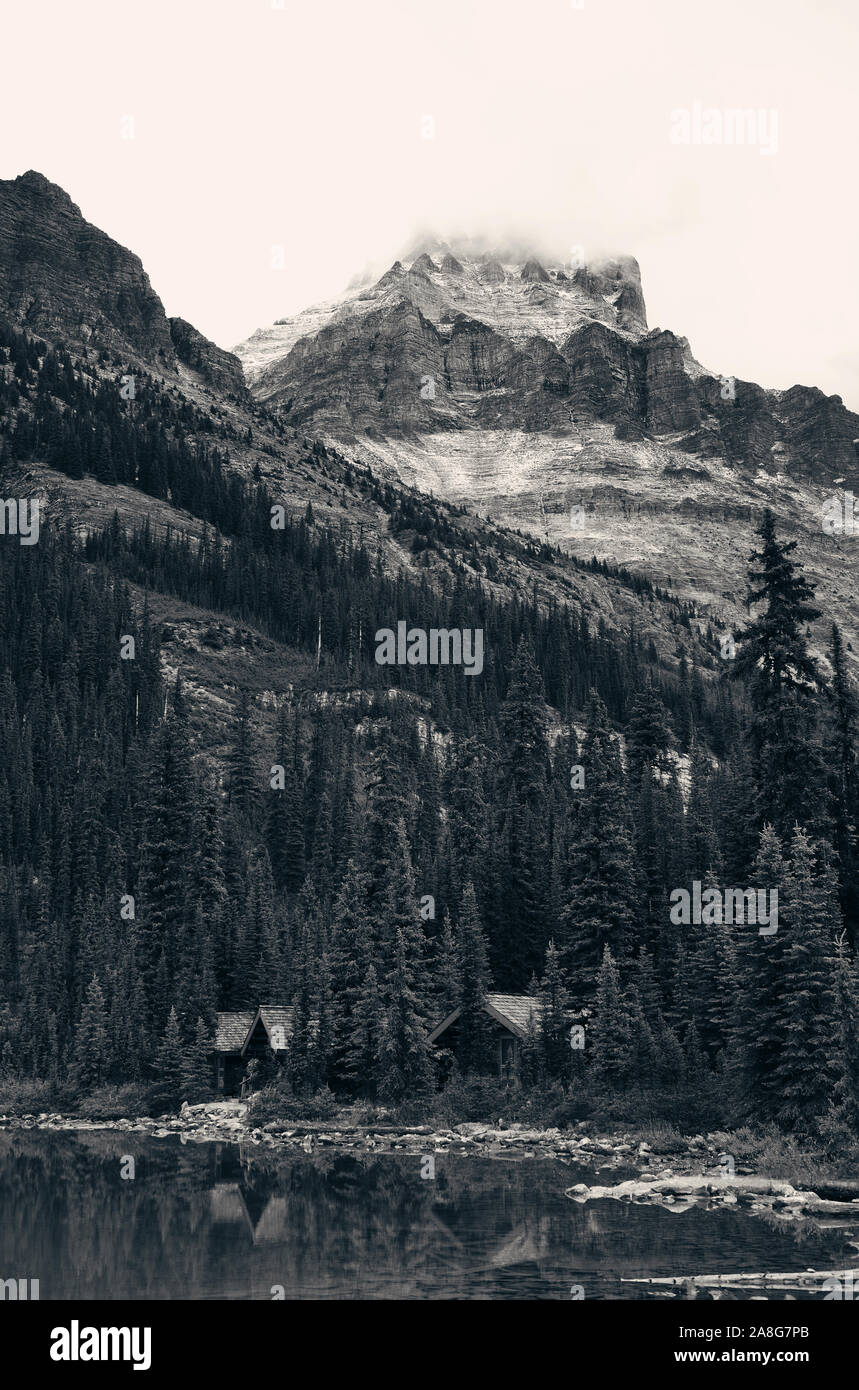 Lake O'hara, Yohu National Park, Canada Stock Photo - Alamy