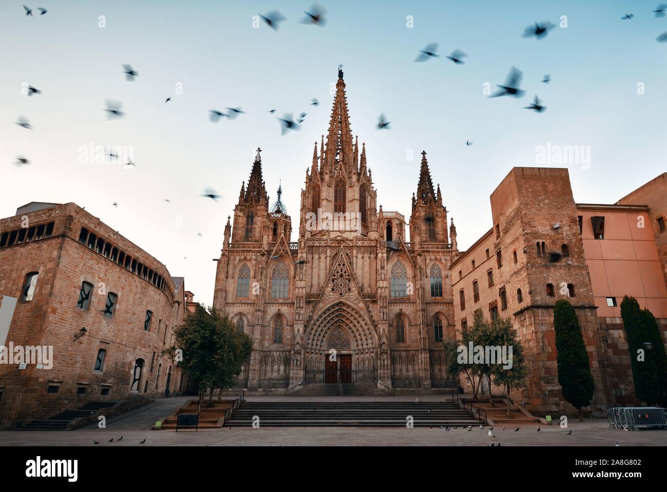 Gothic medieval church pigeon hi-res stock photography and images - Alamy